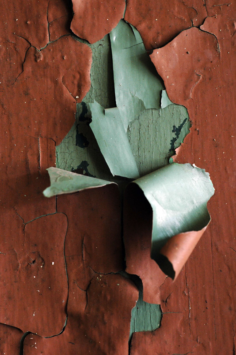 Elyse Shapiro – Department of Art
