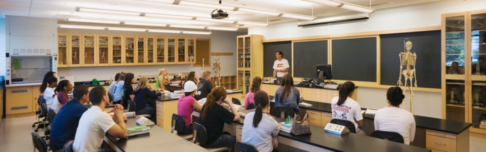 Undergraduate Programs – Biology