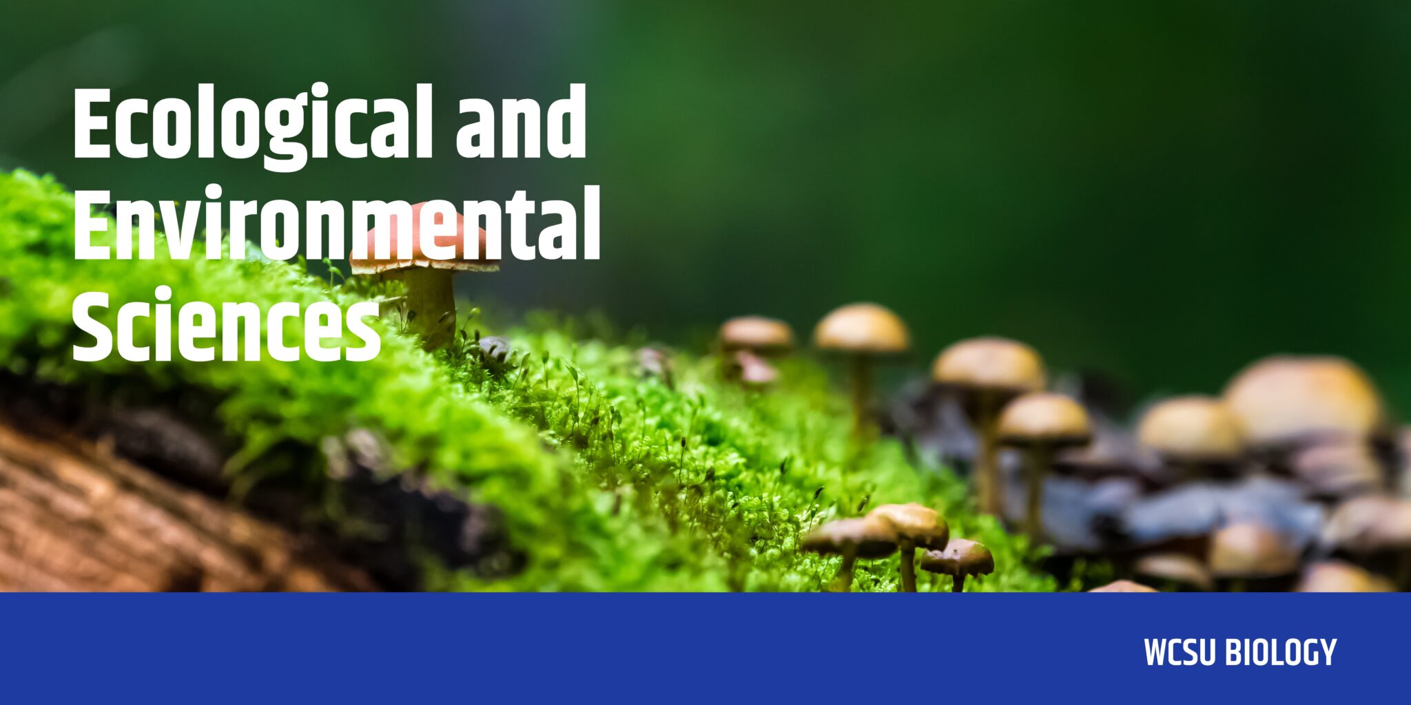 Ecological and Environmental Sciences Advisors – Biology