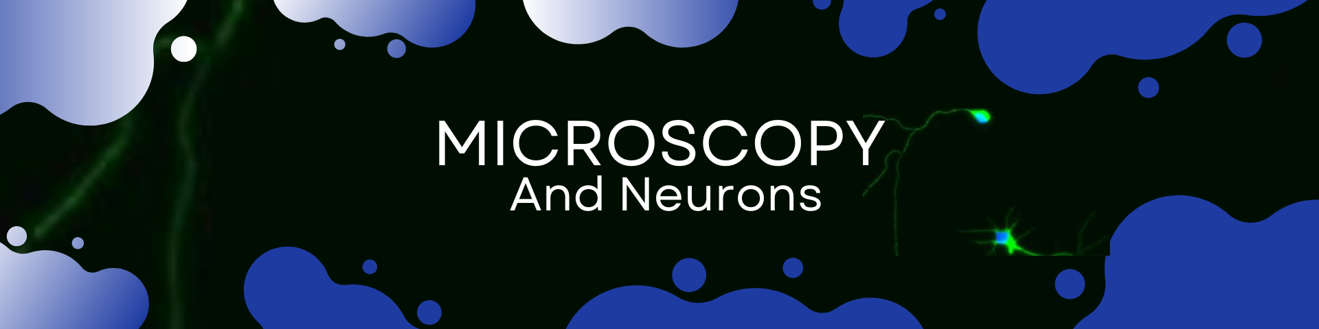 Latest Developments – Biology