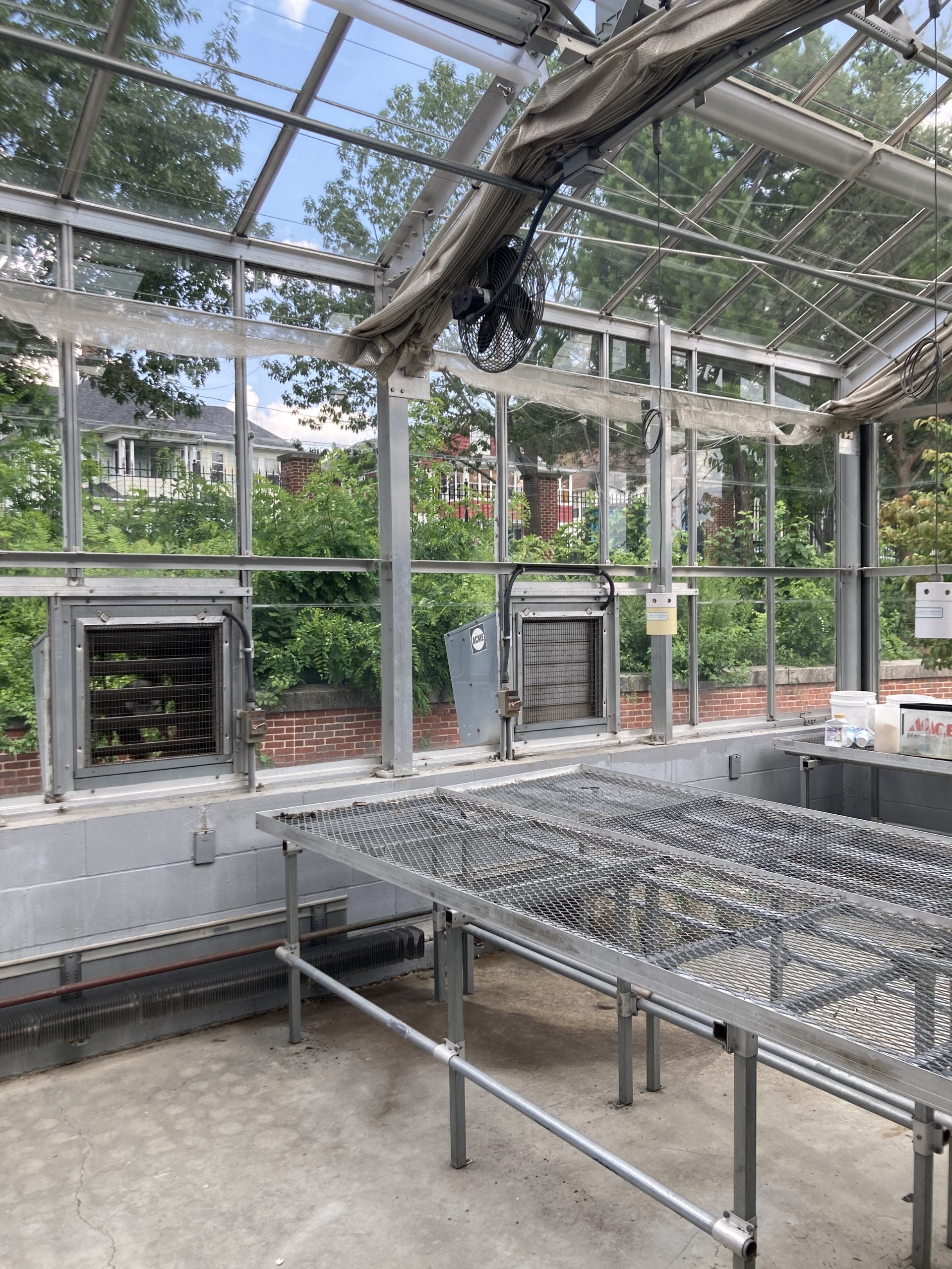A Biology Summer 2023 – Biology