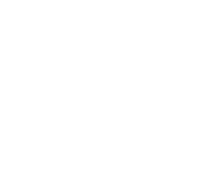 Mascot Logos | Western Connecticut State University