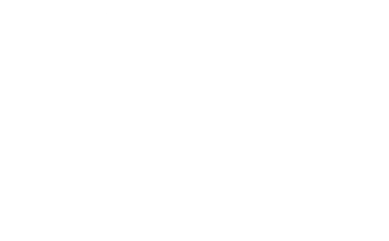 Mascot Logos | Western Connecticut State University