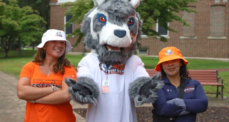 Brand Colors | Communications and Marketing | WCSU