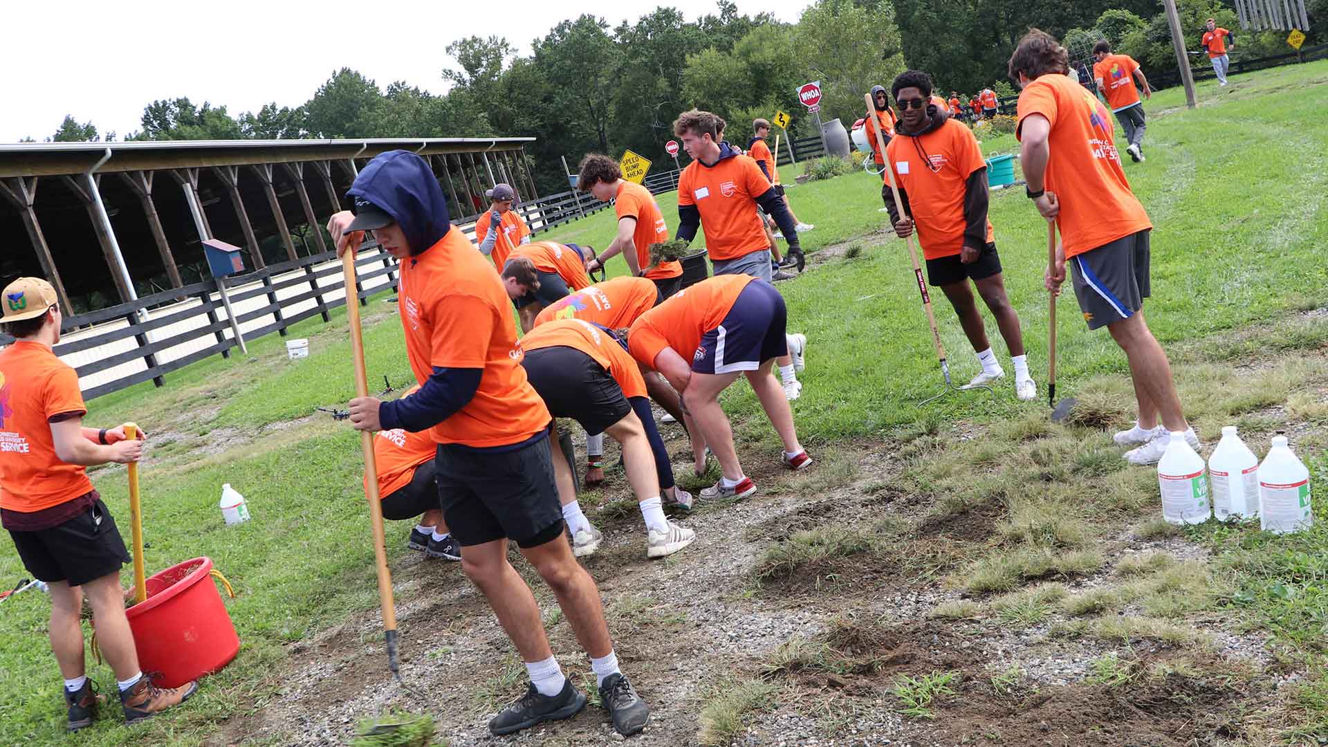 Day of Service | Western Connecticut State University