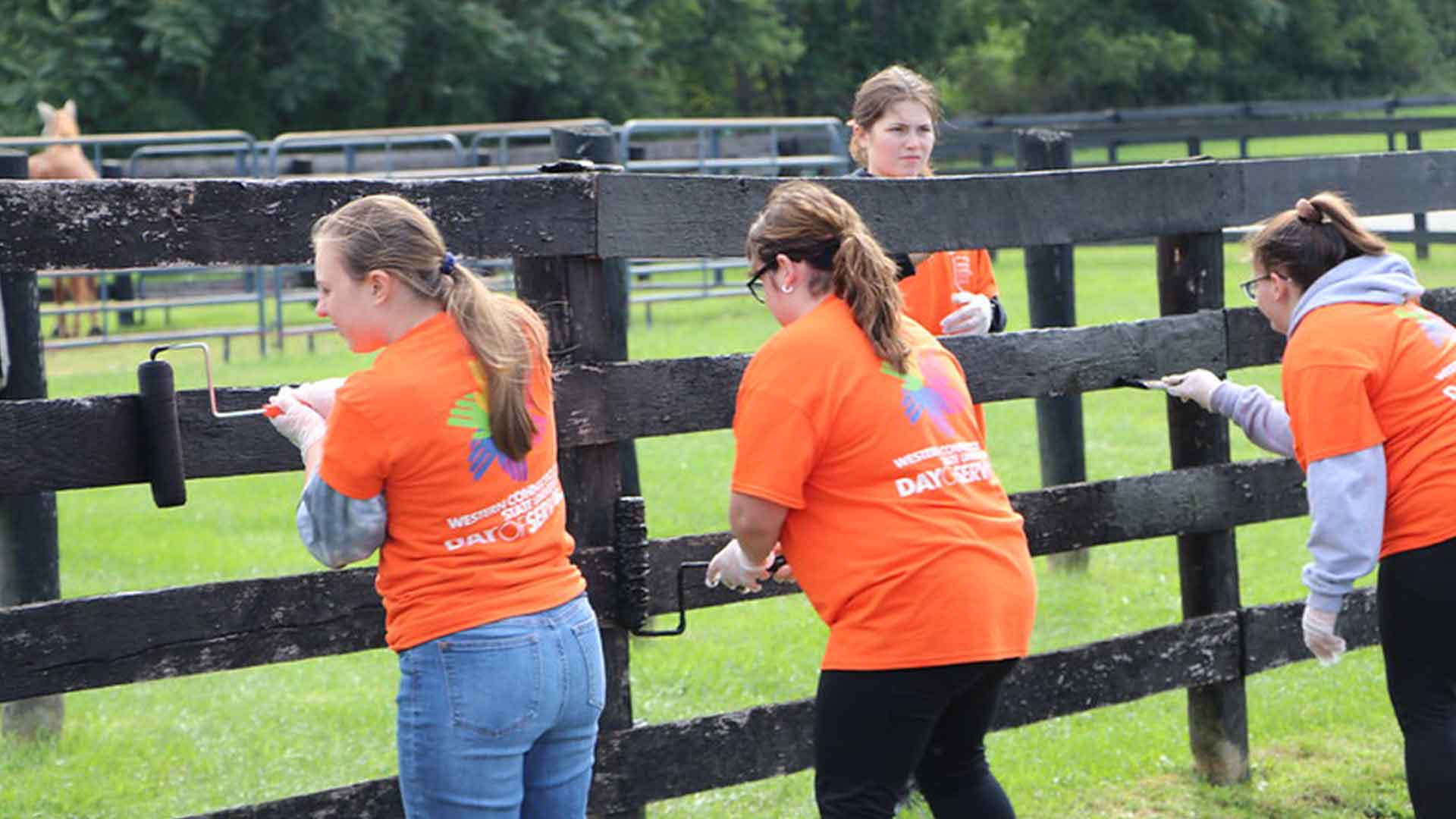 Day of Service | Western Connecticut State University