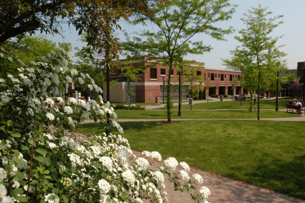 Counseling – Western Connecticut State University