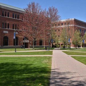 Education – Western Connecticut State University