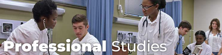 School of Professional Studies Western Connecticut State University