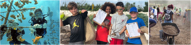 Environmental Stewardship Projects & Competition – Finding Our Way ...