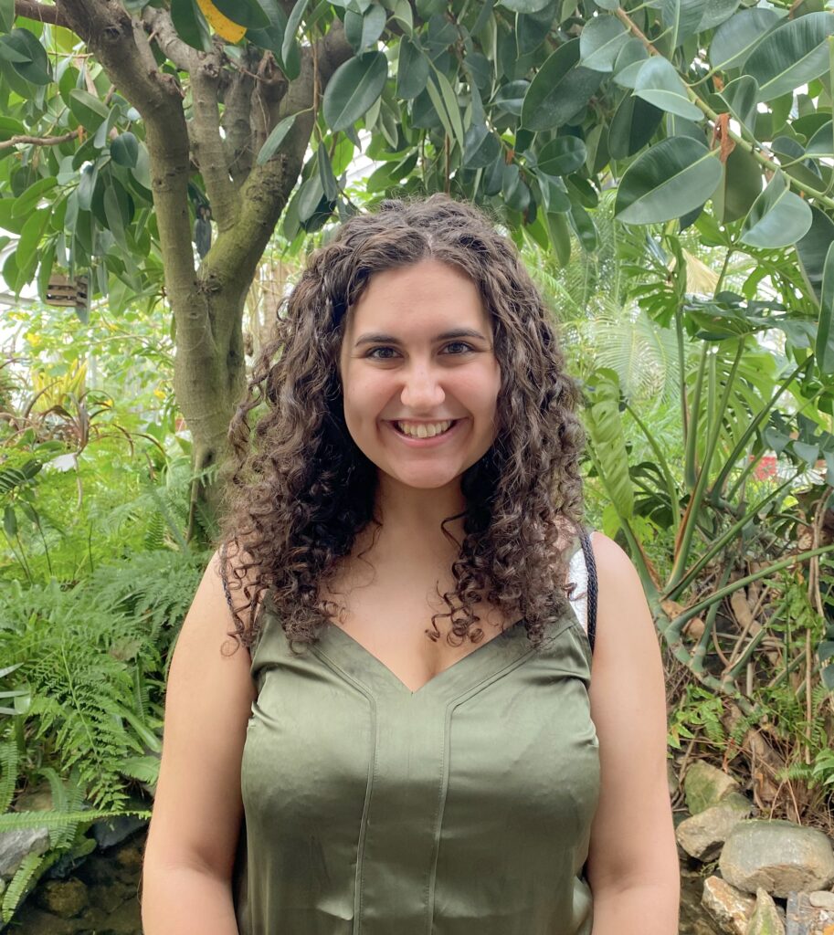 Meet the Team – Writing Center